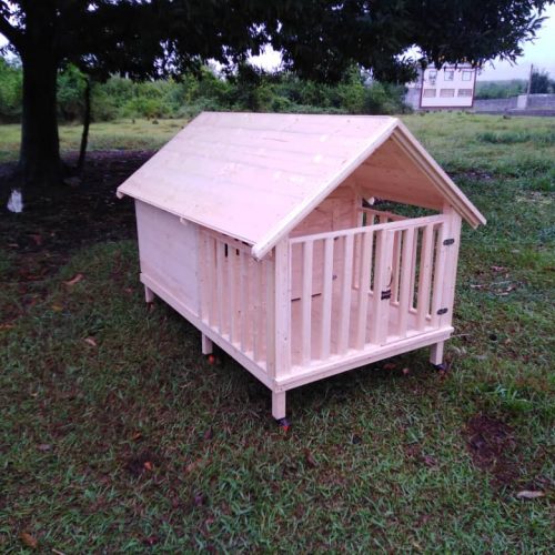 صفحه اصلی - خانه سگ من